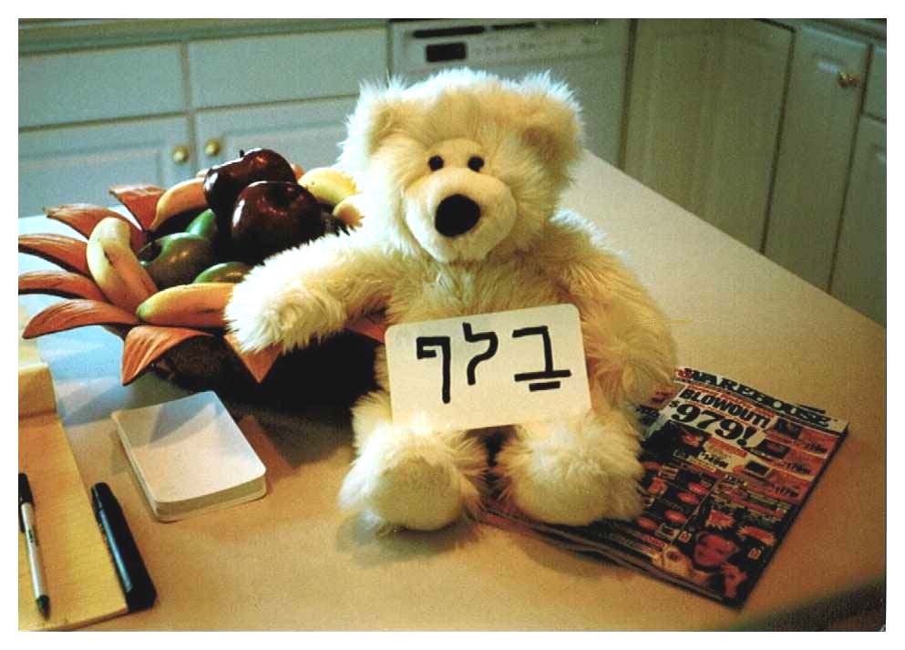 Beth's Camera Work - Walf's Name in Hebrew